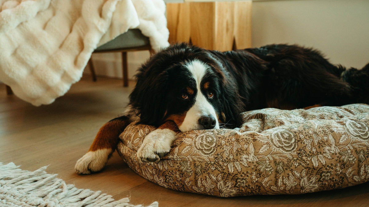 Wholesale – Indaba Home