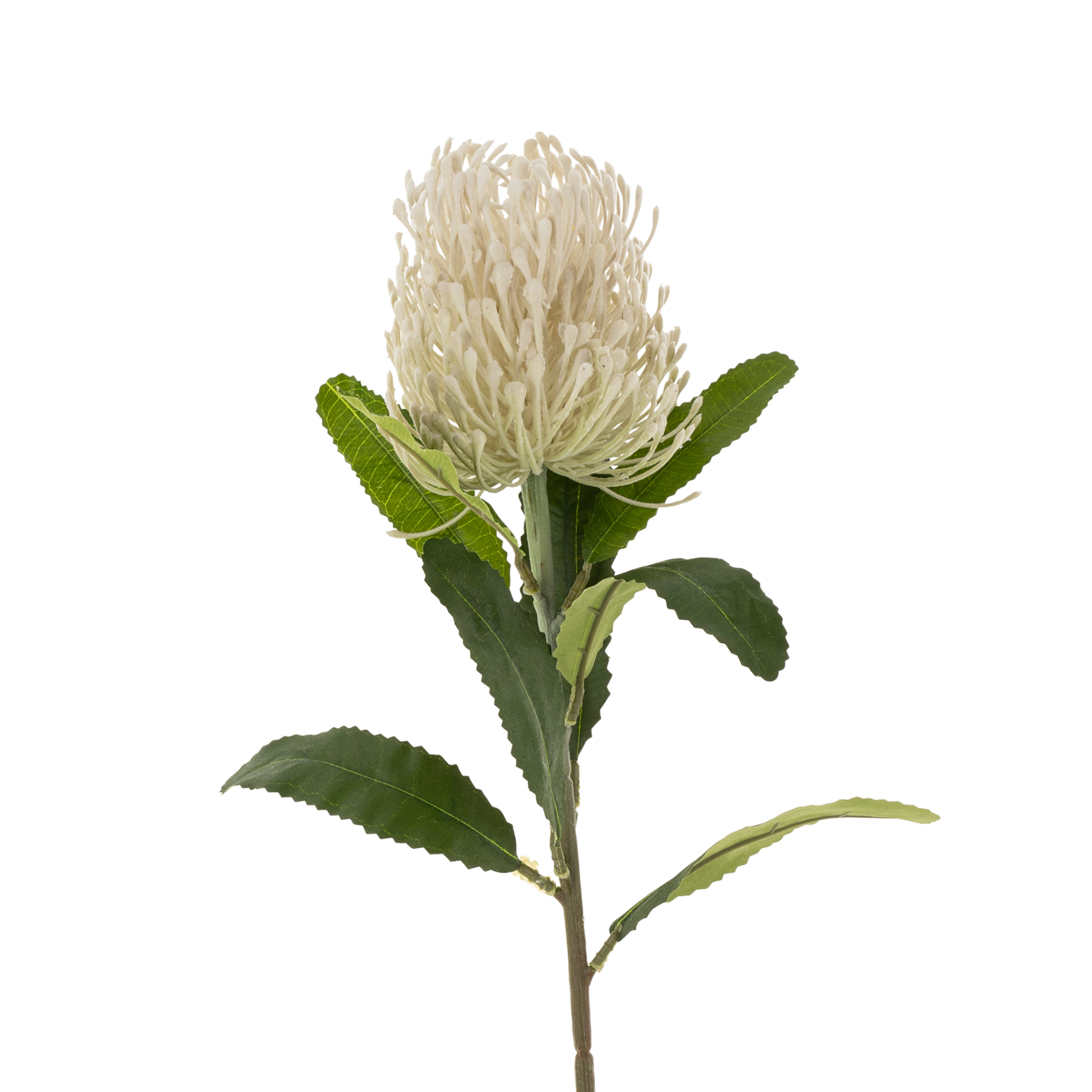 Décor – Indaba Home