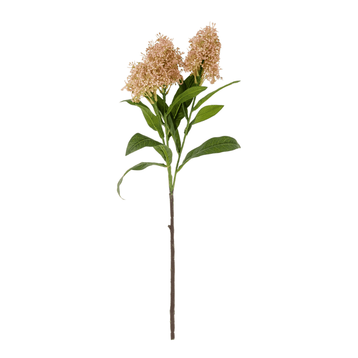 Décor – Indaba Home