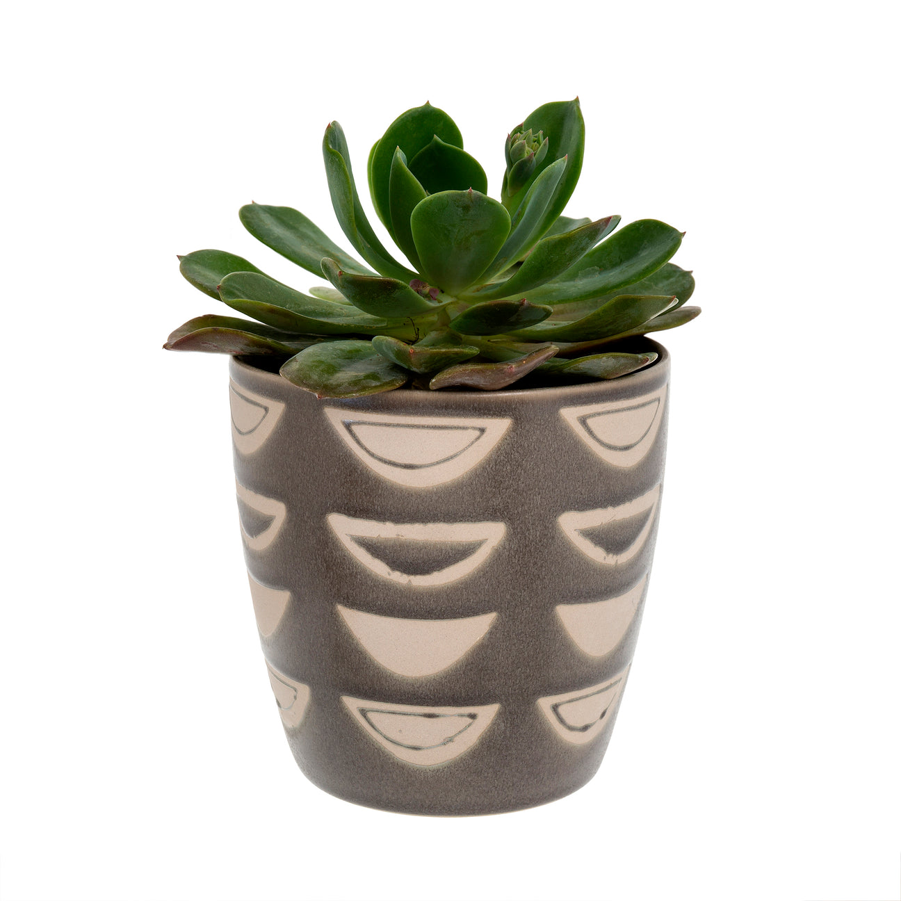 Planters & Pots – Indaba Home