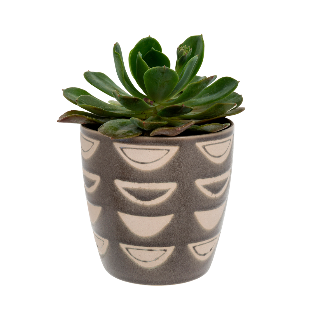 Luna Pot – Indaba Home